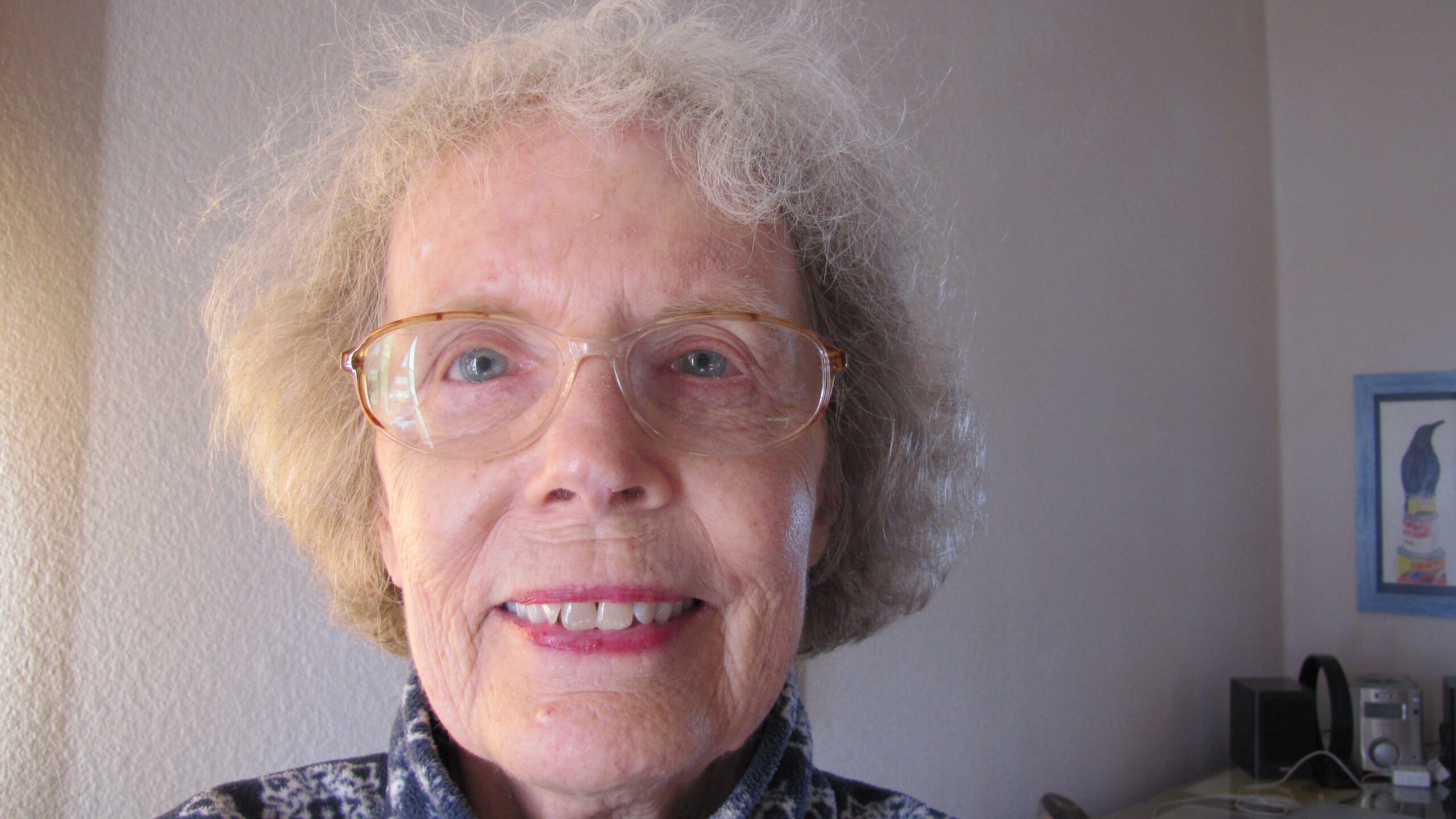 Sharon McGinnis - Sedona Arts Center : Sedona Arts Center