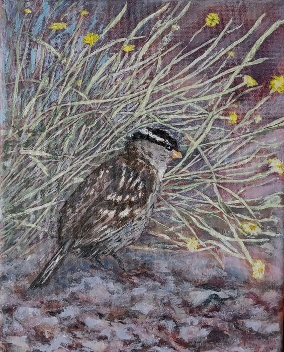 White Crowned Sparrow by Barbara Dickinson SWE - Sedona Arts Center ...