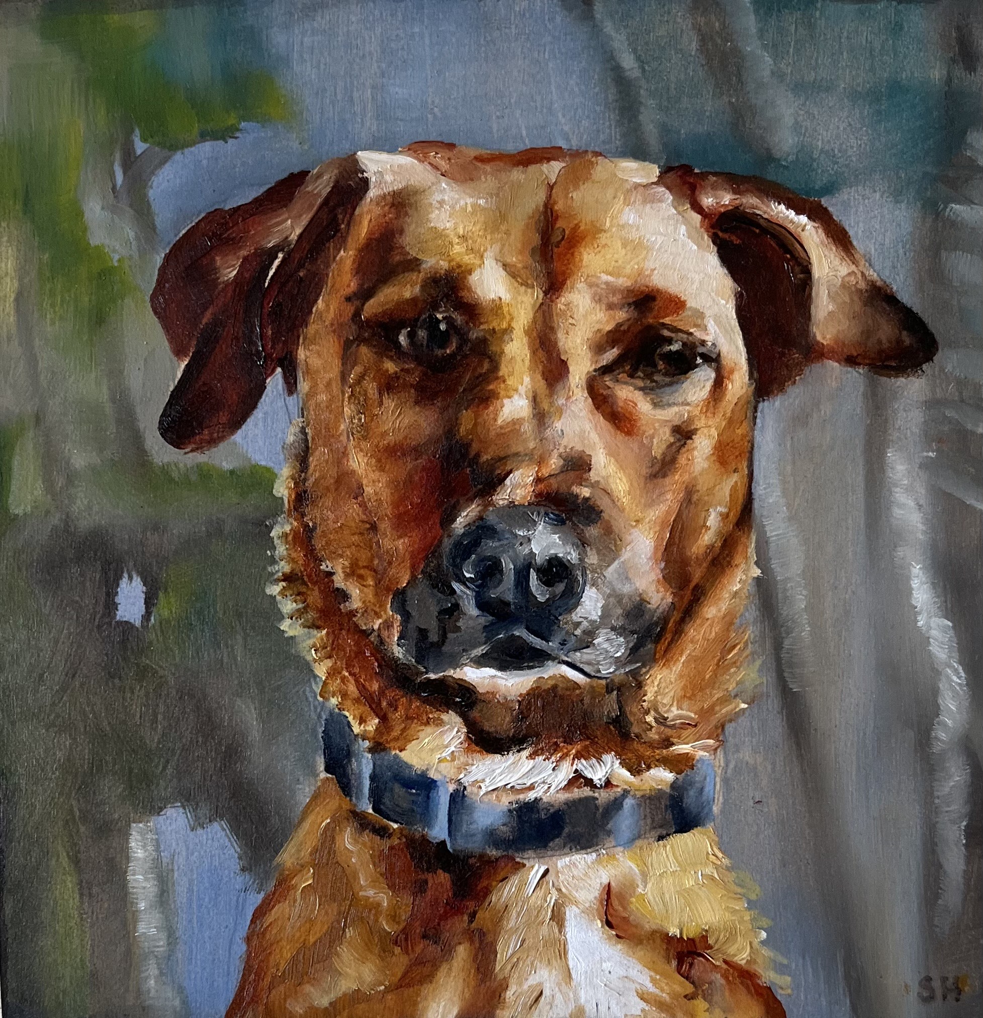 Essence of the Animal - Sedona Arts Center : Sedona Arts Center